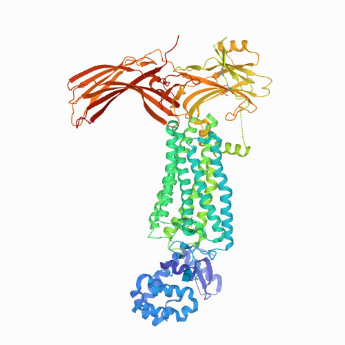 Rhodopsin bound to visual arrestin | National Institute of General ...