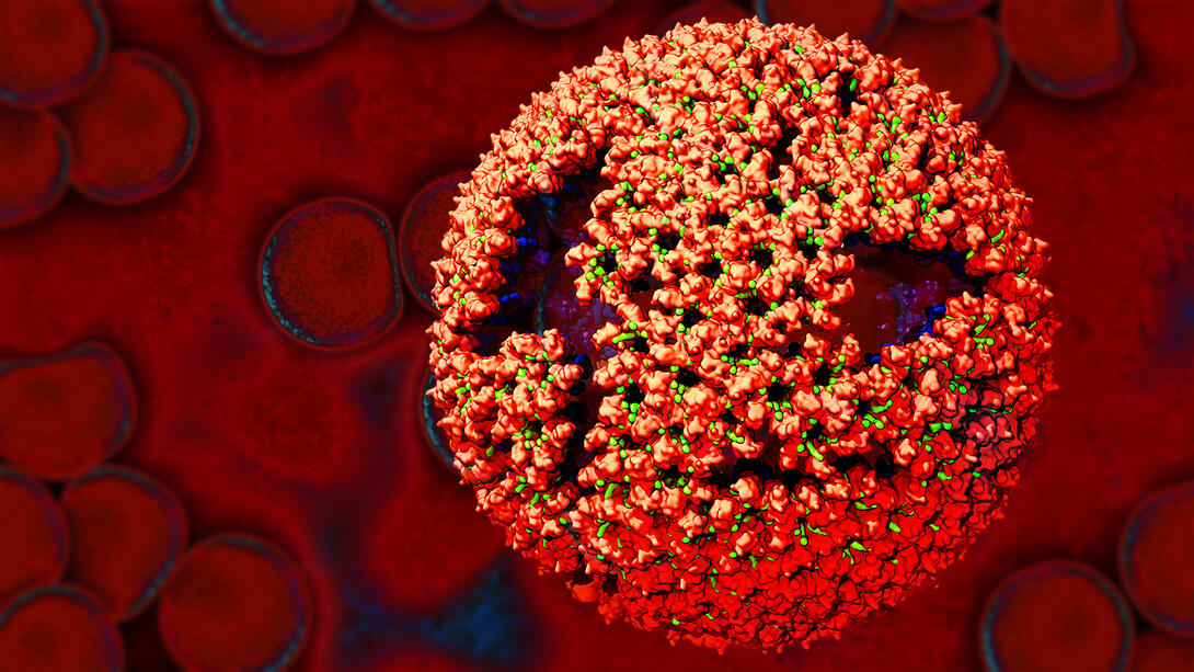 Molecular model of freshly made Rous sarcoma virus (RSV) | National ...