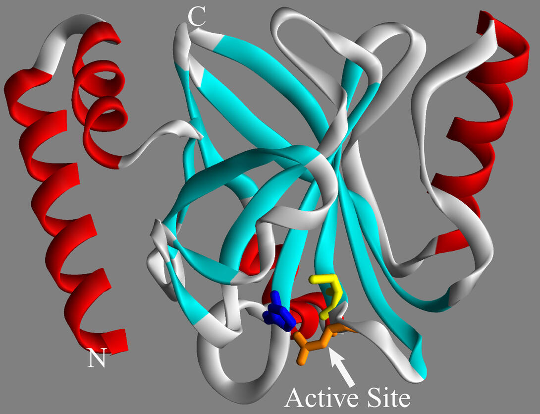 Sortase b from B. anthracis | National Institute of General Medical ...