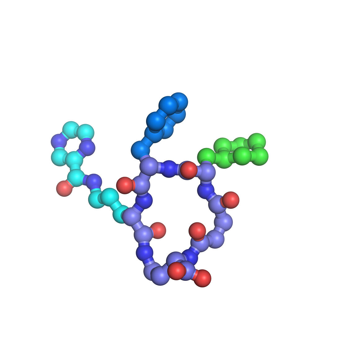 X-ray co-crystal structure of Src kinase bound to a DNA-templated ...